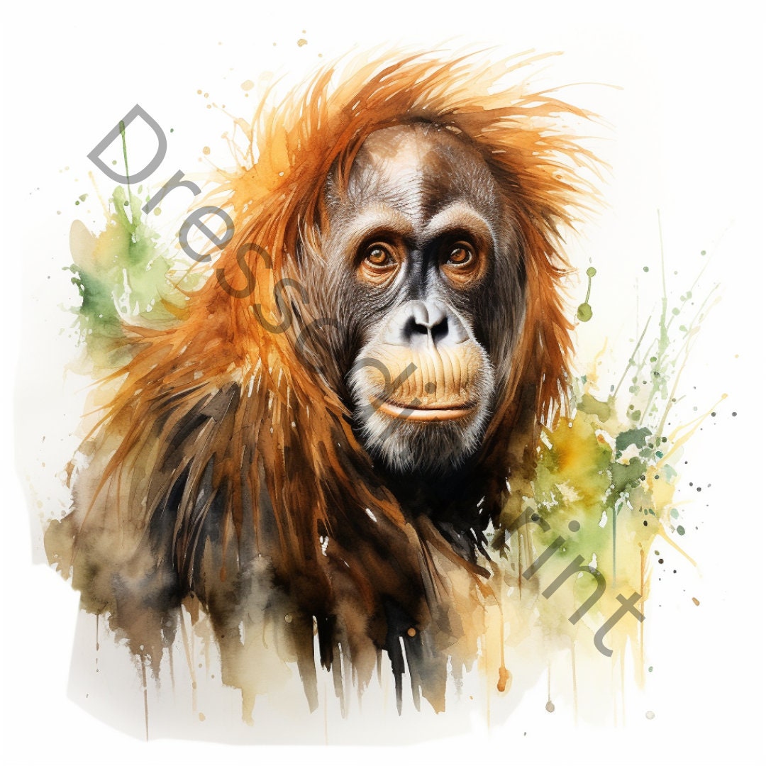 Orangutan, 20 Images, Water Color, Water Colour, Digital Downloads ...