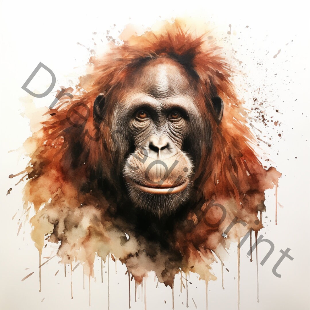 Orangutan, 20 Images, Water Color, Water Colour, Digital Downloads ...