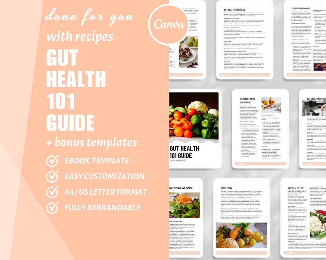 Gut Health 101 Guide: Nutrition & Recipes (DFY Template) - Etsy