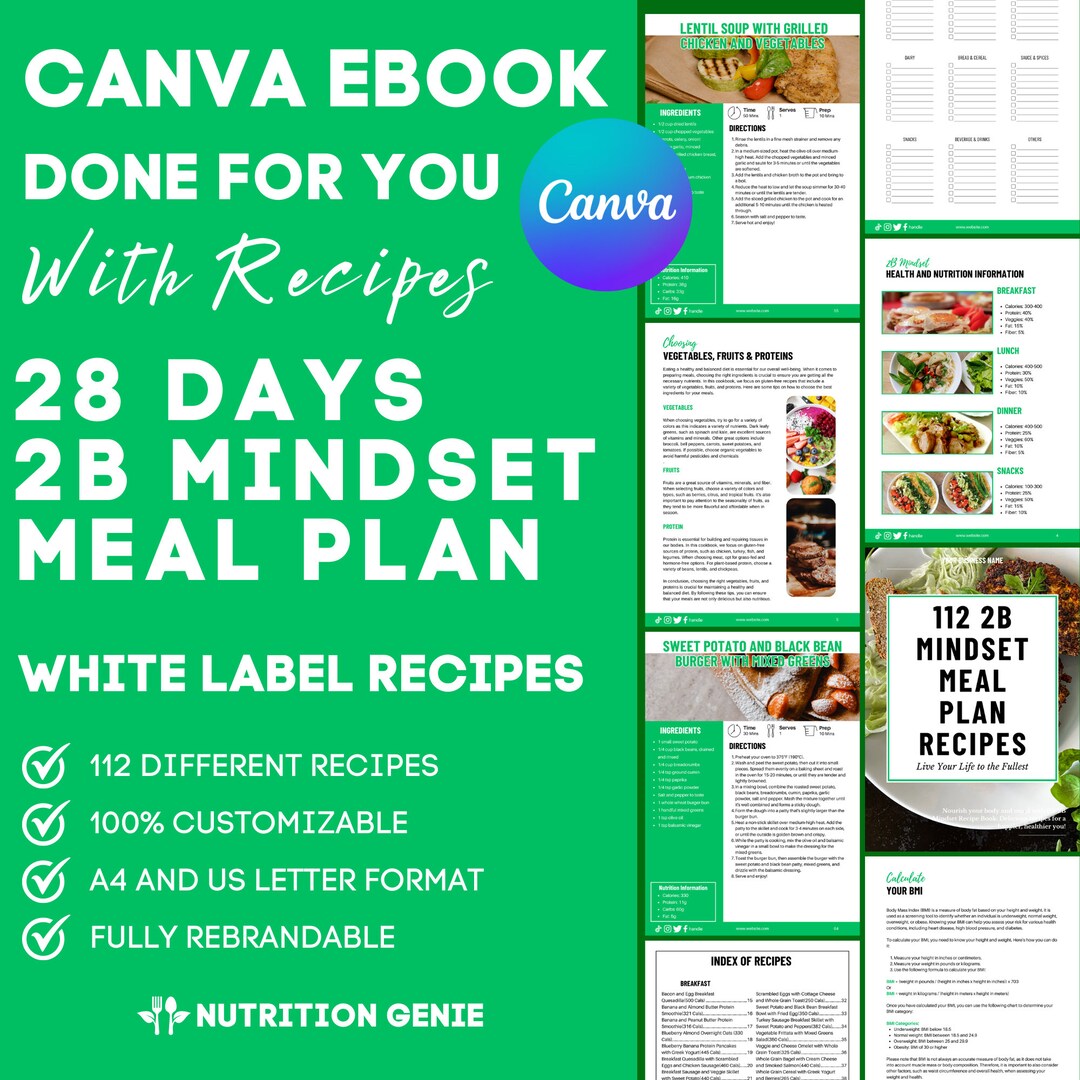 2B Mindset Meal Plan, Coaching Ebook Canva Template, Done for You ...