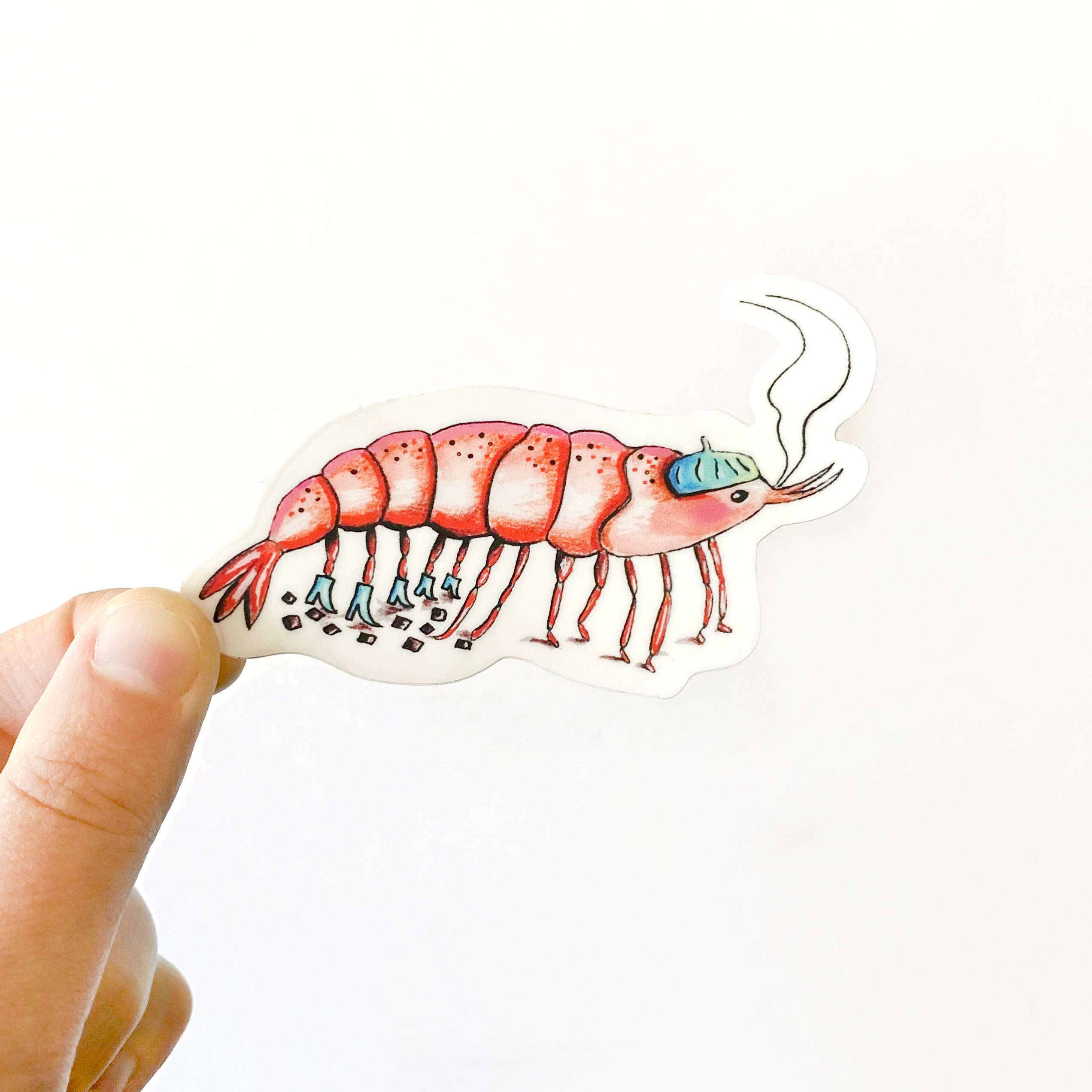 Beret Shrimp Sticker, Cute Shrimp Sticker, Ocean Life Sticker, Shrimp ...