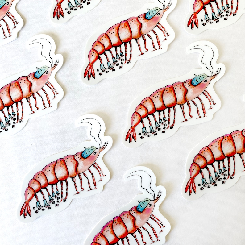 Beret Shrimp Sticker, Cute Shrimp Sticker, Ocean Life Sticker, Shrimp ...