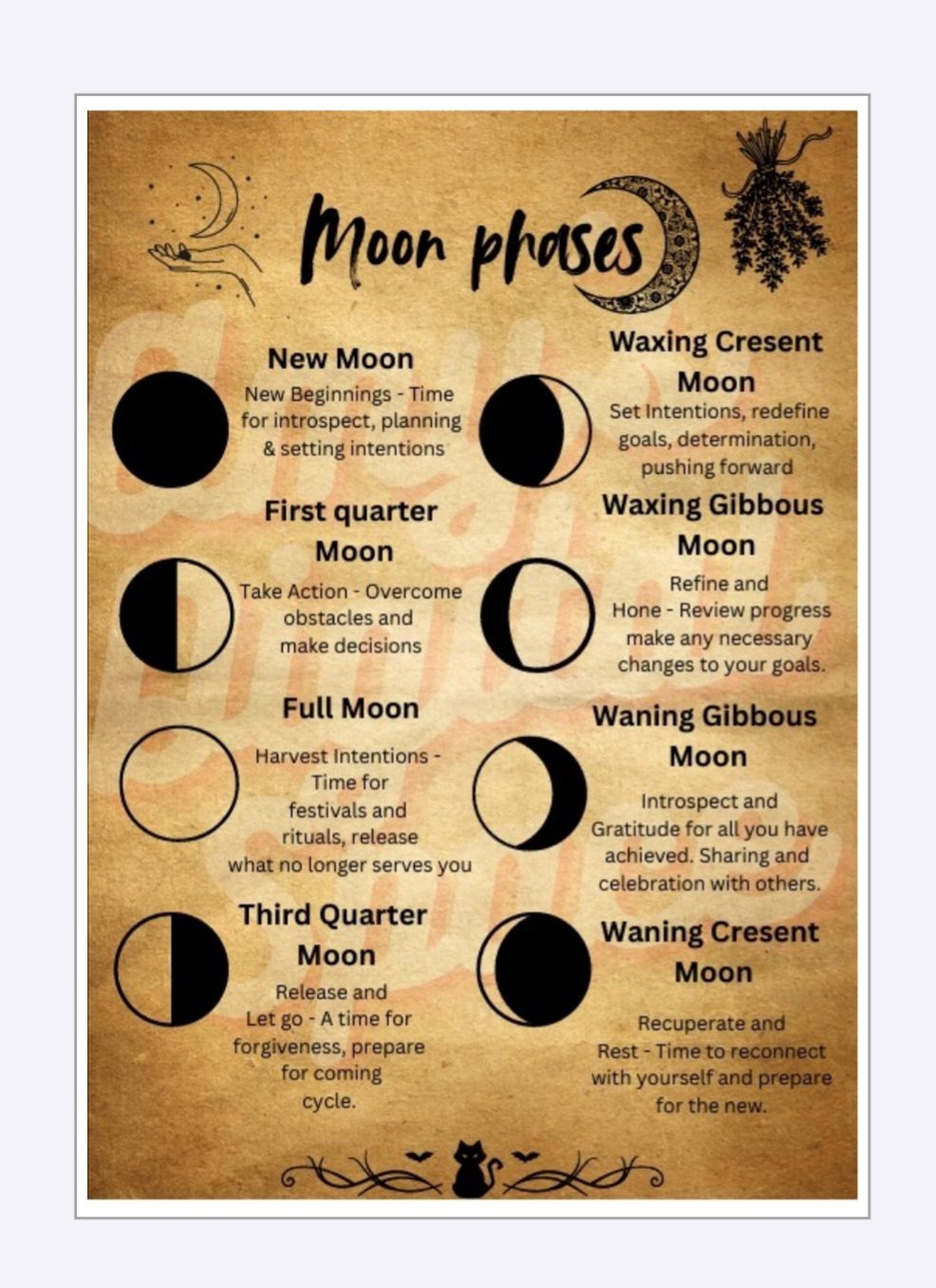 Moon Phases - A Witches Guide, PDF Downloadable Content, Print Image - Etsy