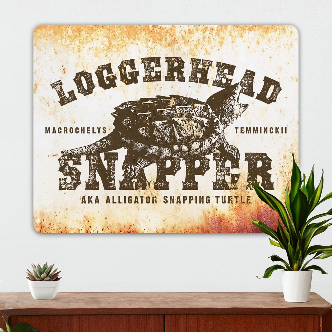 Wildlife Wall Decor LOGGERHEAD SNAPPER Metal Sign - Etsy
