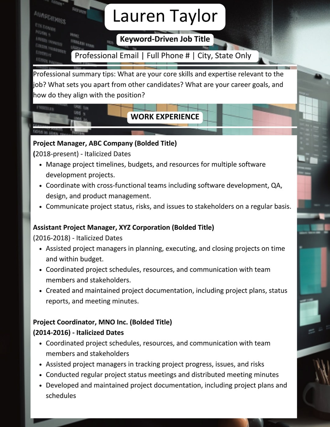 Ats-friendly Resume Templates Striking & Memorable Designs for Project ...