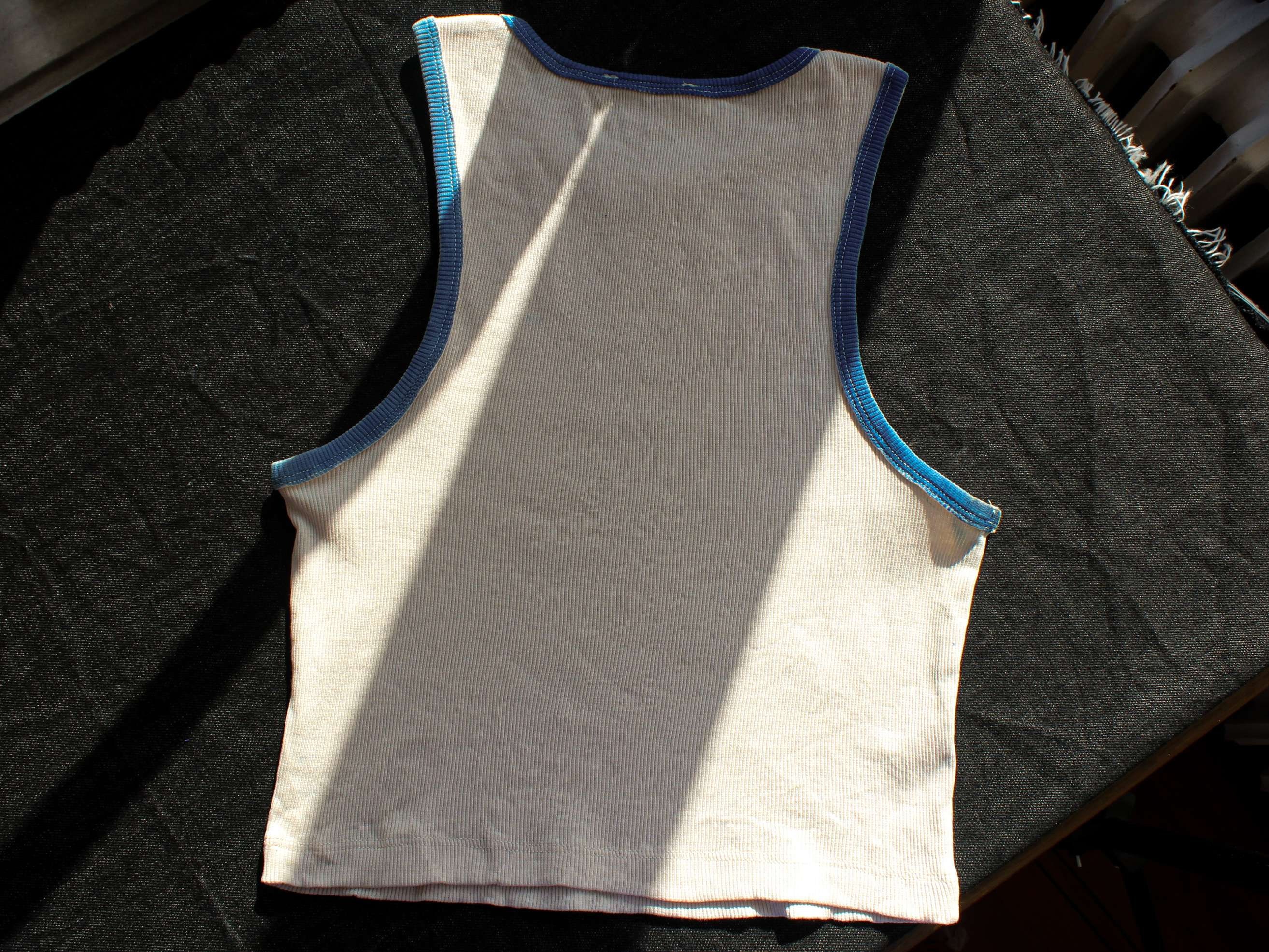 Death of Socrates Cyanotype Crop Top - Etsy