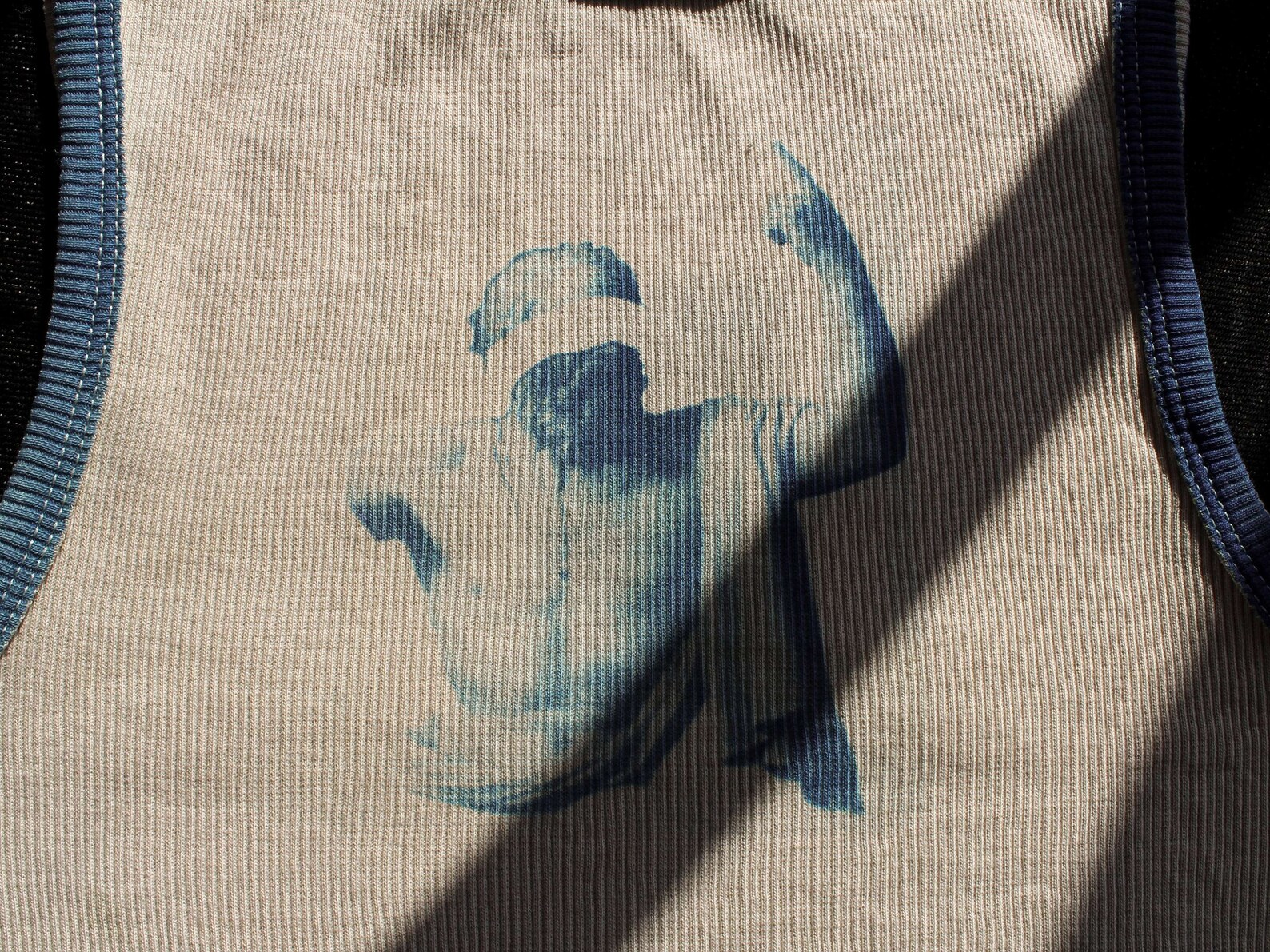 Death of Socrates Cyanotype Crop Top - Etsy
