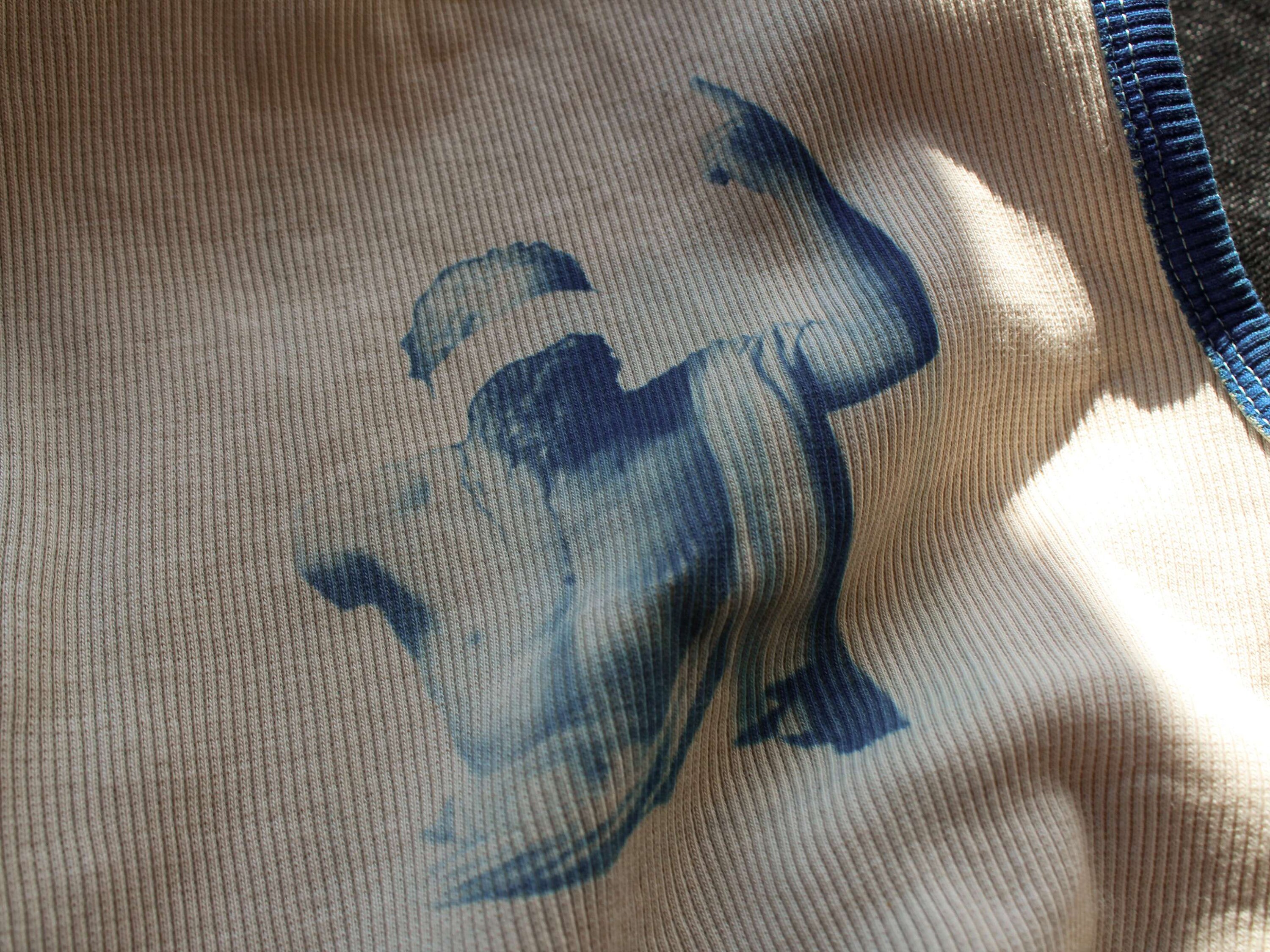 Death of Socrates Cyanotype Crop Top - Etsy