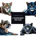 X4 Big Cats PNG Images, Wild Cat Clipart, Designs, Free Commercial Use ...