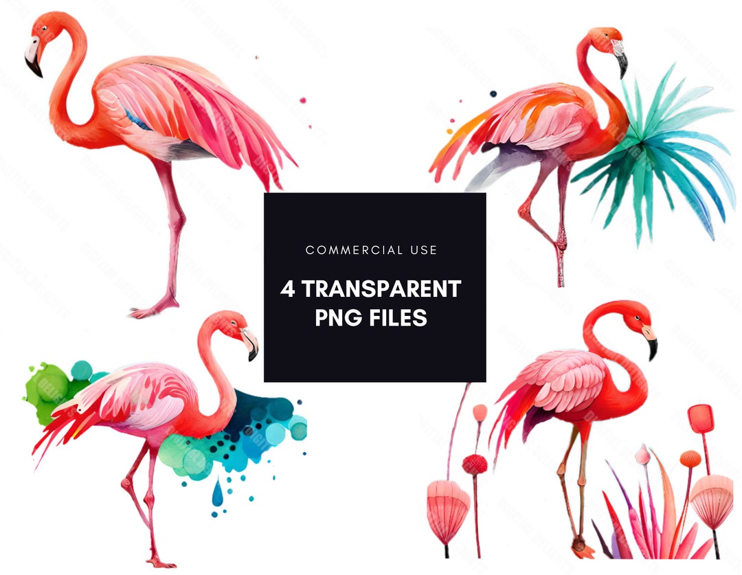 X4 Flamingos PNG Images, Bird Clipart, Flamingo Designs, Free ...
