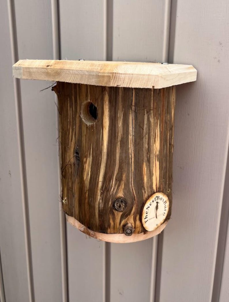 Cedar Log Birdhouse Nest Box – Handmade for Titmouse, Nuthatch ...