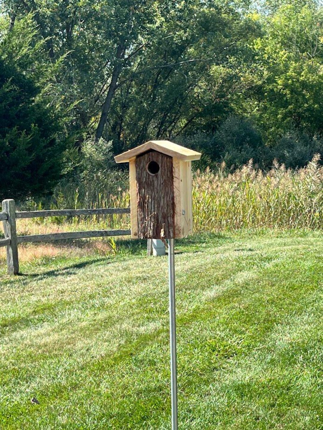 Bluebird House: Rustic Cedar Handcrafted Tree Swallow and Bluebird Nest ...