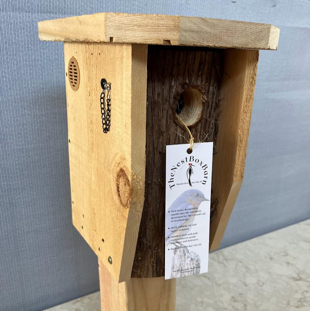 Bluebird Birdhouse: Handcrafted Natural Bark Cedar Nest Box for ...