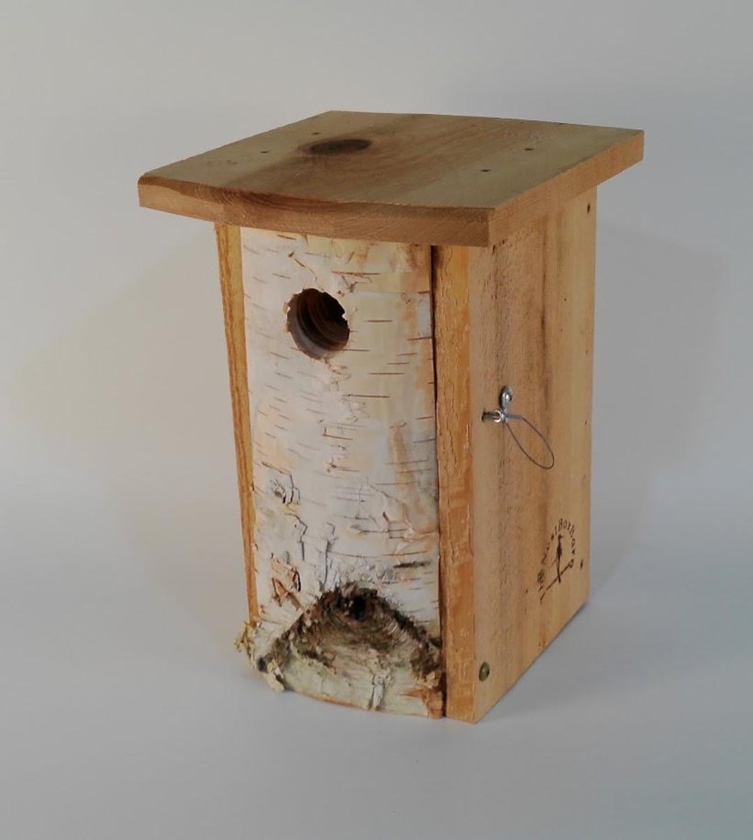 Cedar Titmouse & Nuthatch Nest Box – Rustic Birdhouse With Real Birch ...