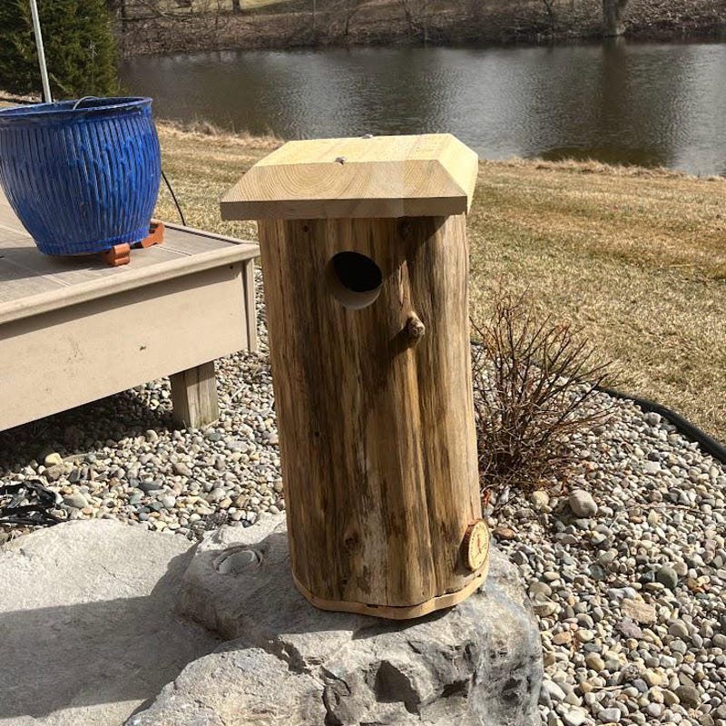 Owl Box - Etsy