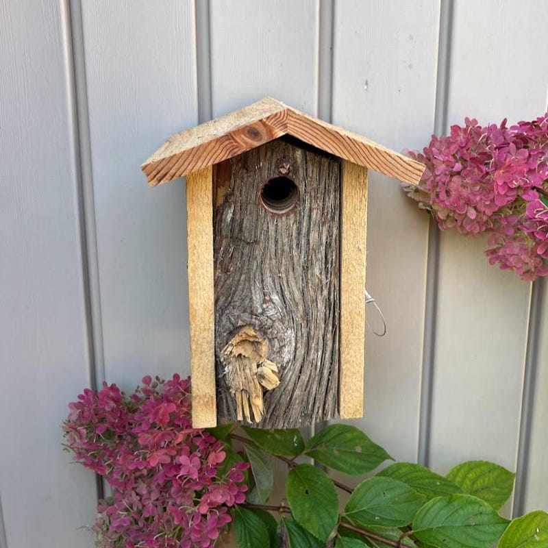 Chickadee Bird House - Etsy