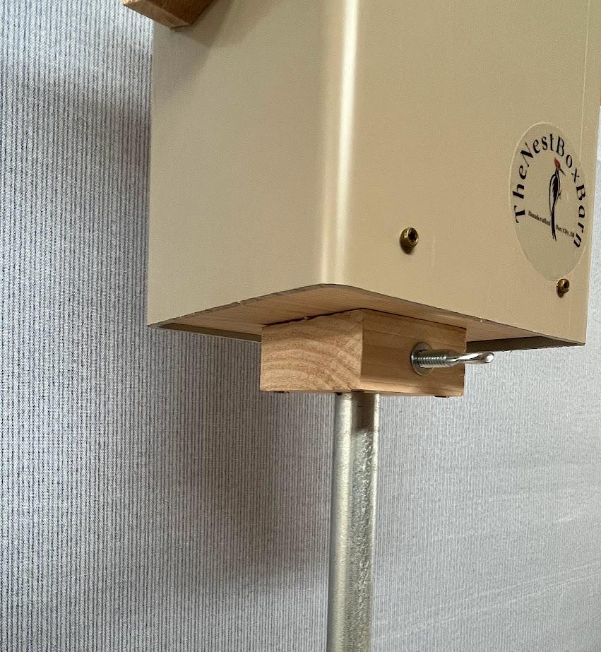 Bluebird and Tree Swallow Nest Box – Durable, Eco-friendly, Cedar ...