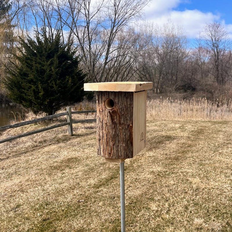 Robin Bird House - Etsy