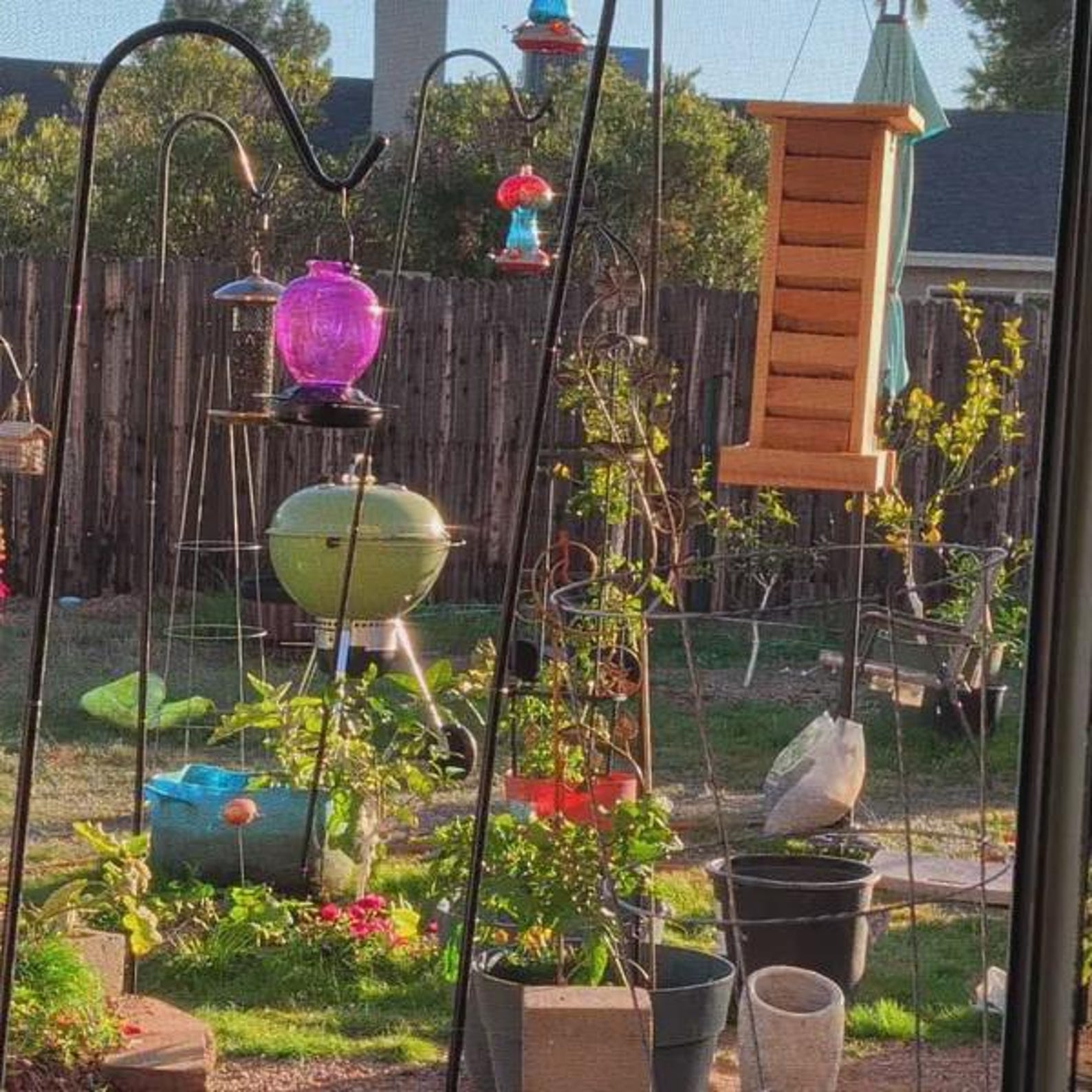 Cedar Bird Feeder: Woodpecker and Clinging Bird Design - Etsy