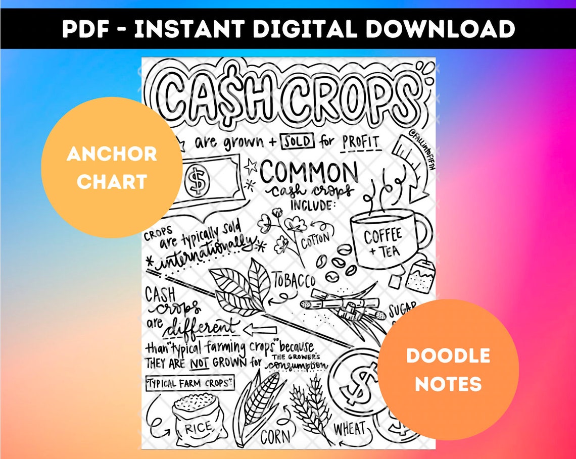 CASH CROPS - Printable + Traceable Anchor Chart Template (PDF) Social ...