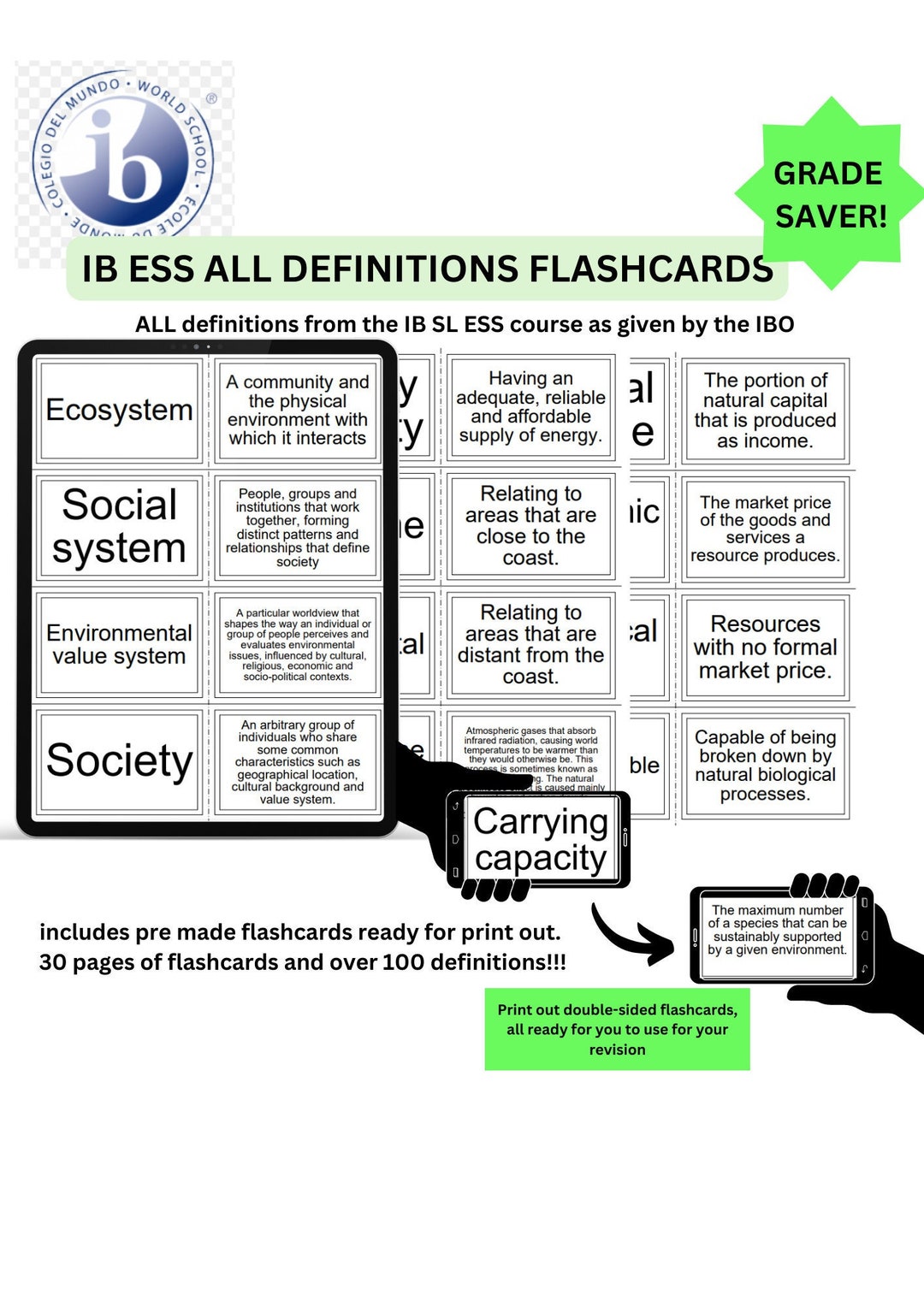 IB ESS Definition Flashcards - Etsy
