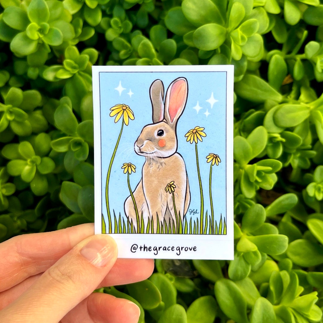 Frankie Rabbit Sticker Desert Cottontail Cute Bunny Sticker - Etsy