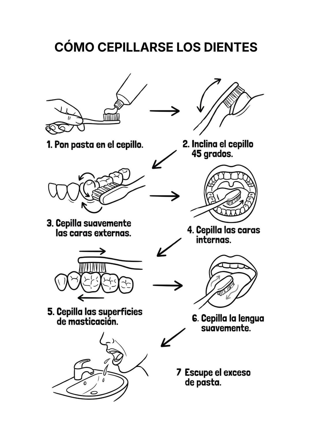 How to Brush Your Teeth Step by Step | Visual Dental Hygiene Guide ...