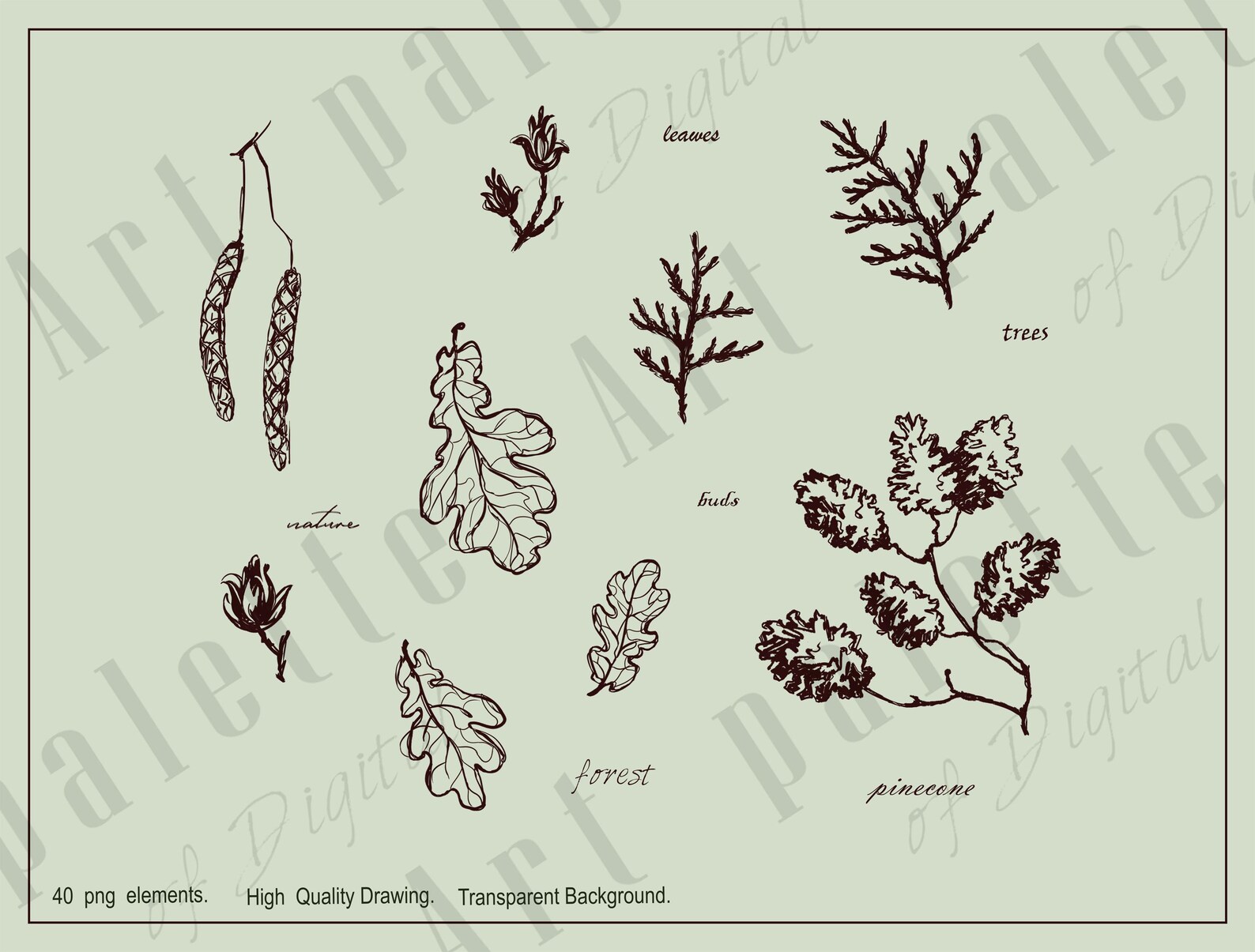 Pinecone Line Art, Coniferous Forest Elements (digital Download) - Etsy