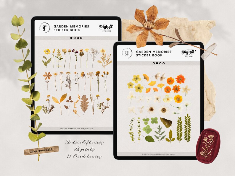Realistic Dried Flower & Leaf Mood Board Digital Sticker Set - Etsy