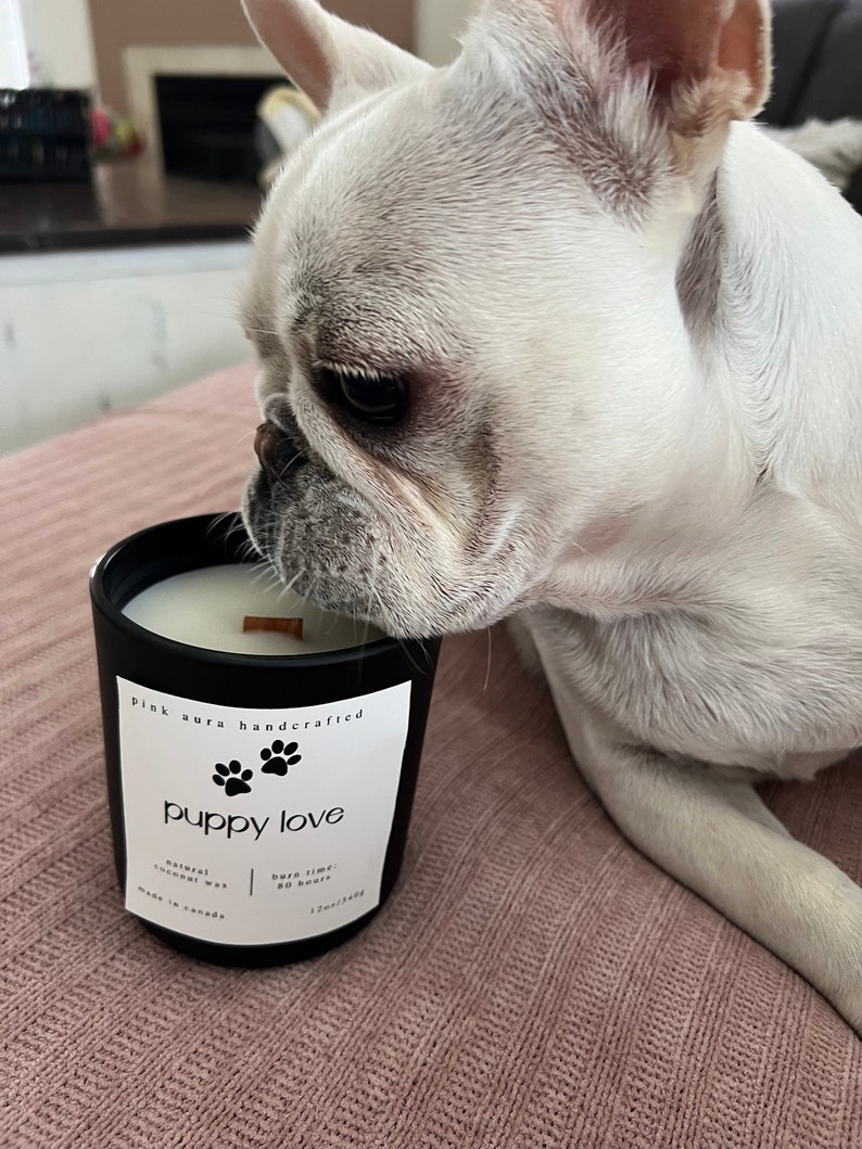 Dog Themed Candles - Etsy