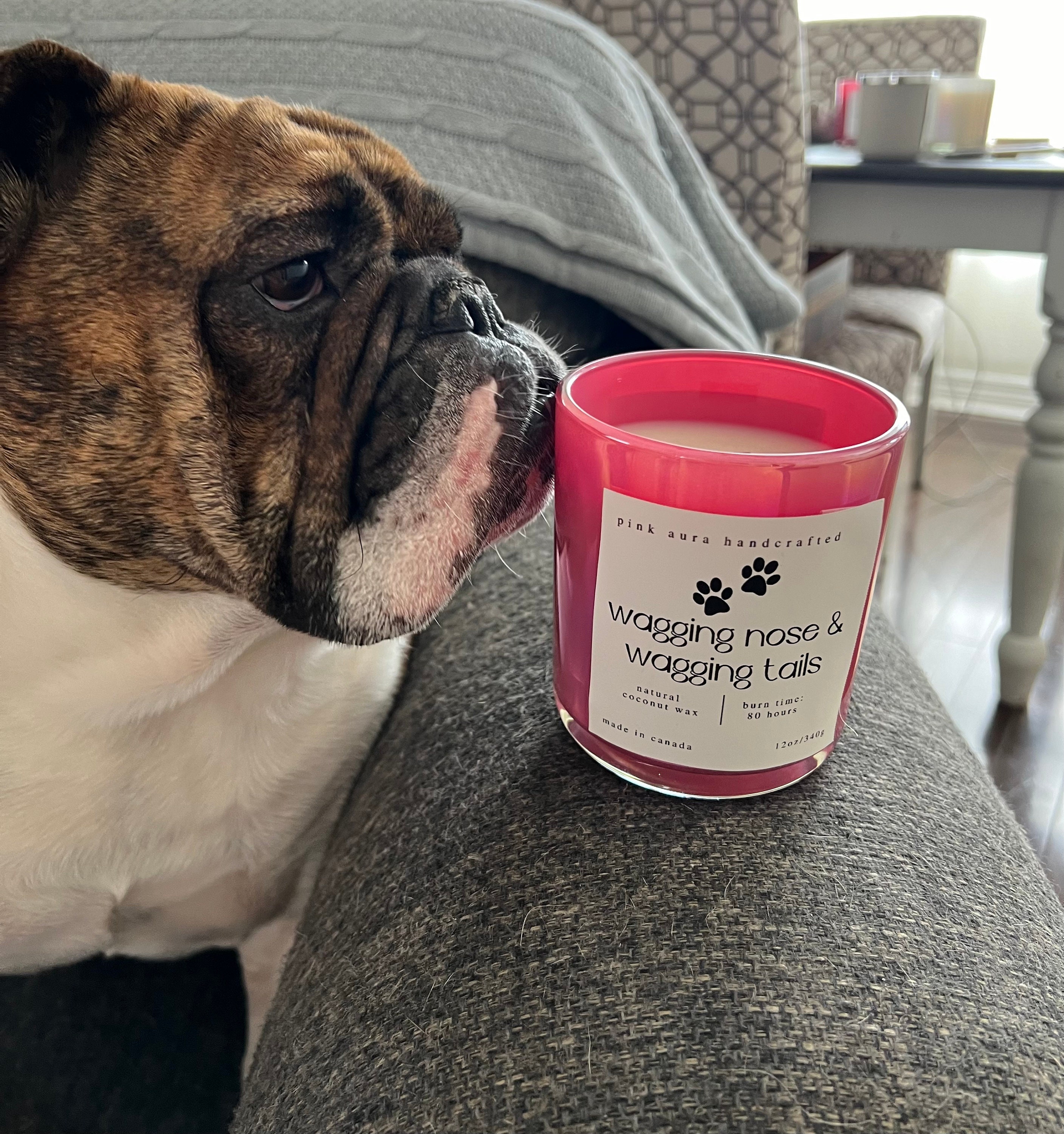 Dog Themed Candles - Etsy