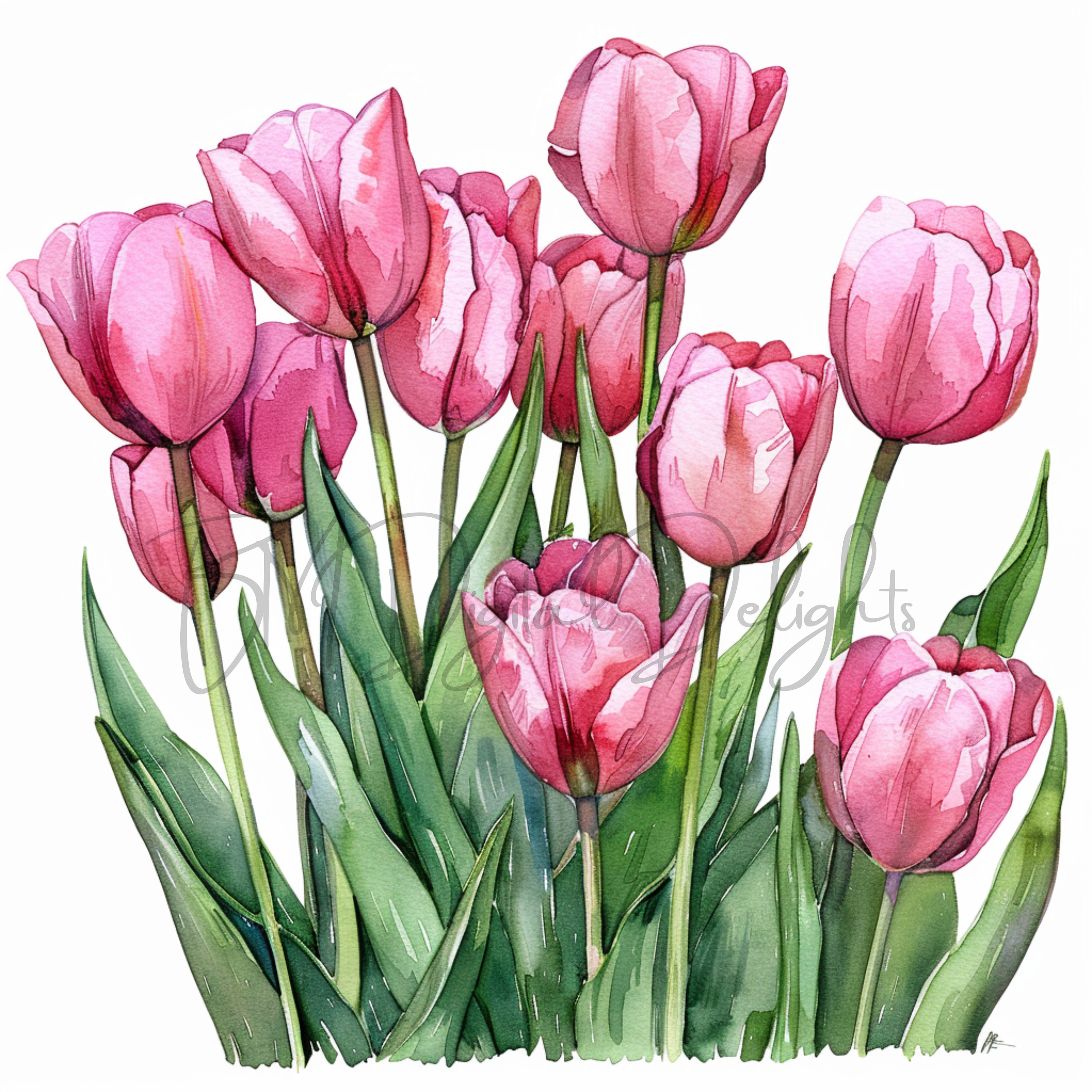 Pink Tulip Clip Art, Watercolour, Pink, Baby Pink, Tulips, Floral ...