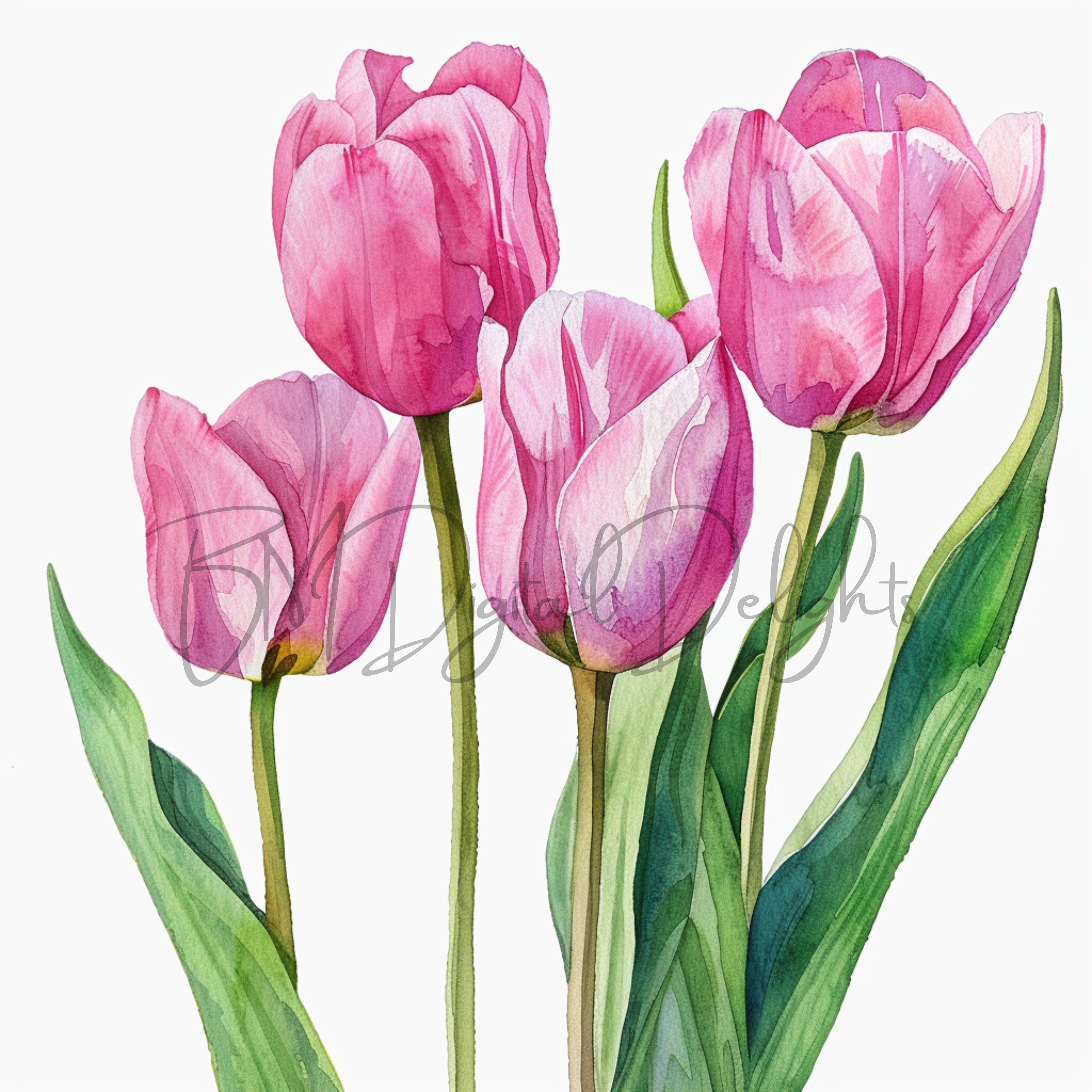 Pink Tulip Clip Art, Watercolour, Pink, Baby Pink, Tulips, Floral ...