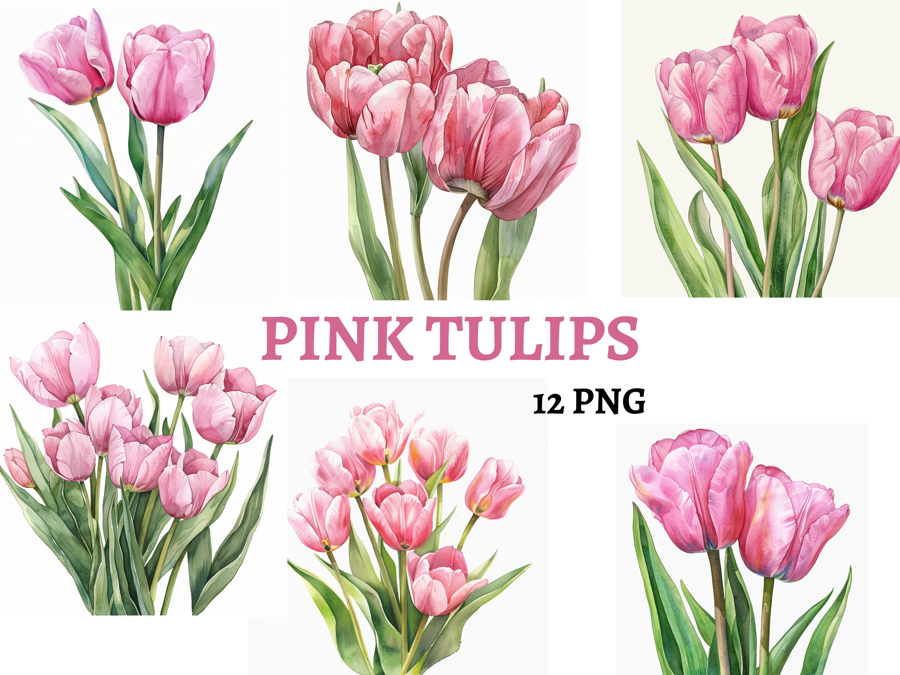 Pink Tulip Clip Art, Watercolour, Pink, Baby Pink, Tulips, Floral ...