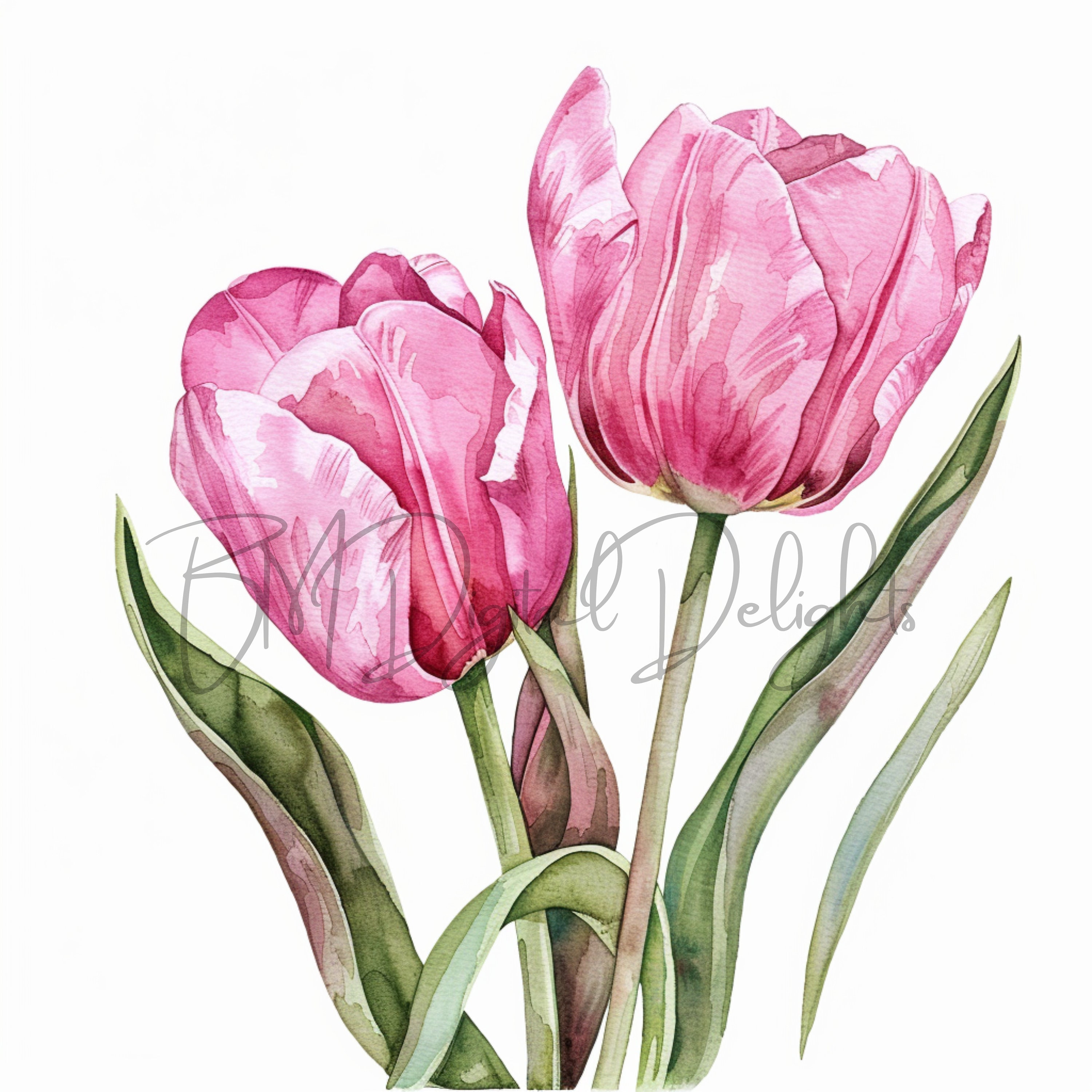 Pink Tulip Clip Art, Watercolour, Pink, Baby Pink, Tulips, Floral ...