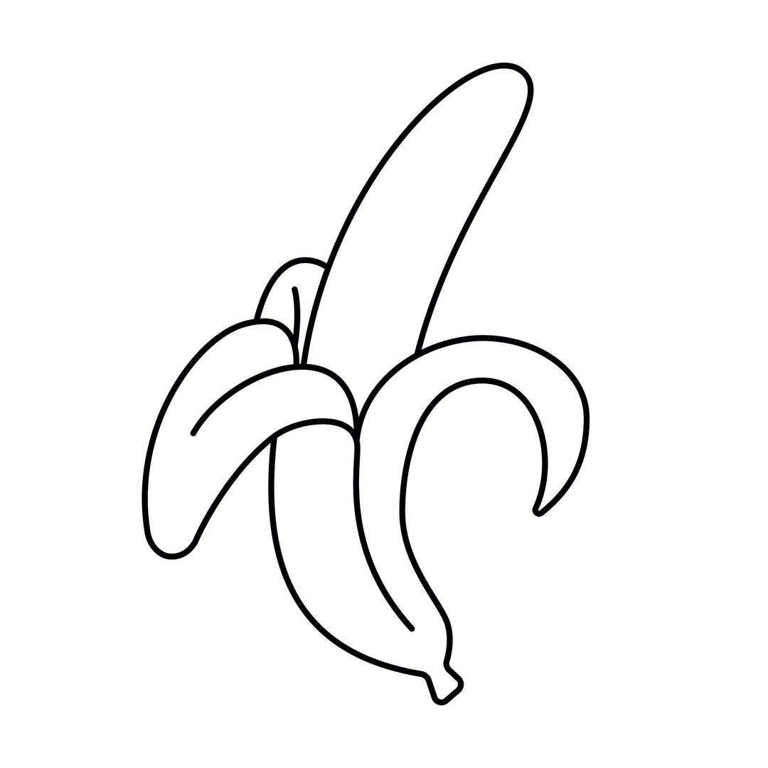 Digital Banana Illustration, Banana Line Art 5 Direct Downloads in ...