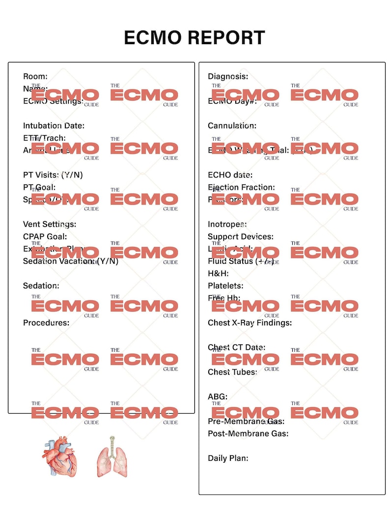 ECMO Patient Rounding Sheet, Report Sheet Made for Specialists, CVICU Nurses & More - Etsy