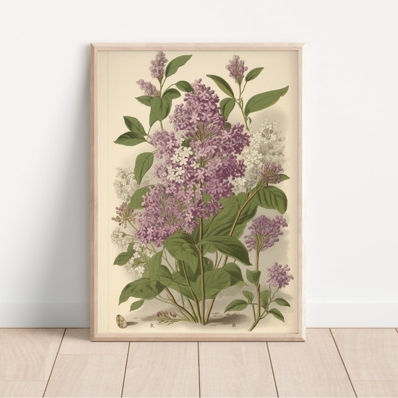 Lilac Bush - Etsy