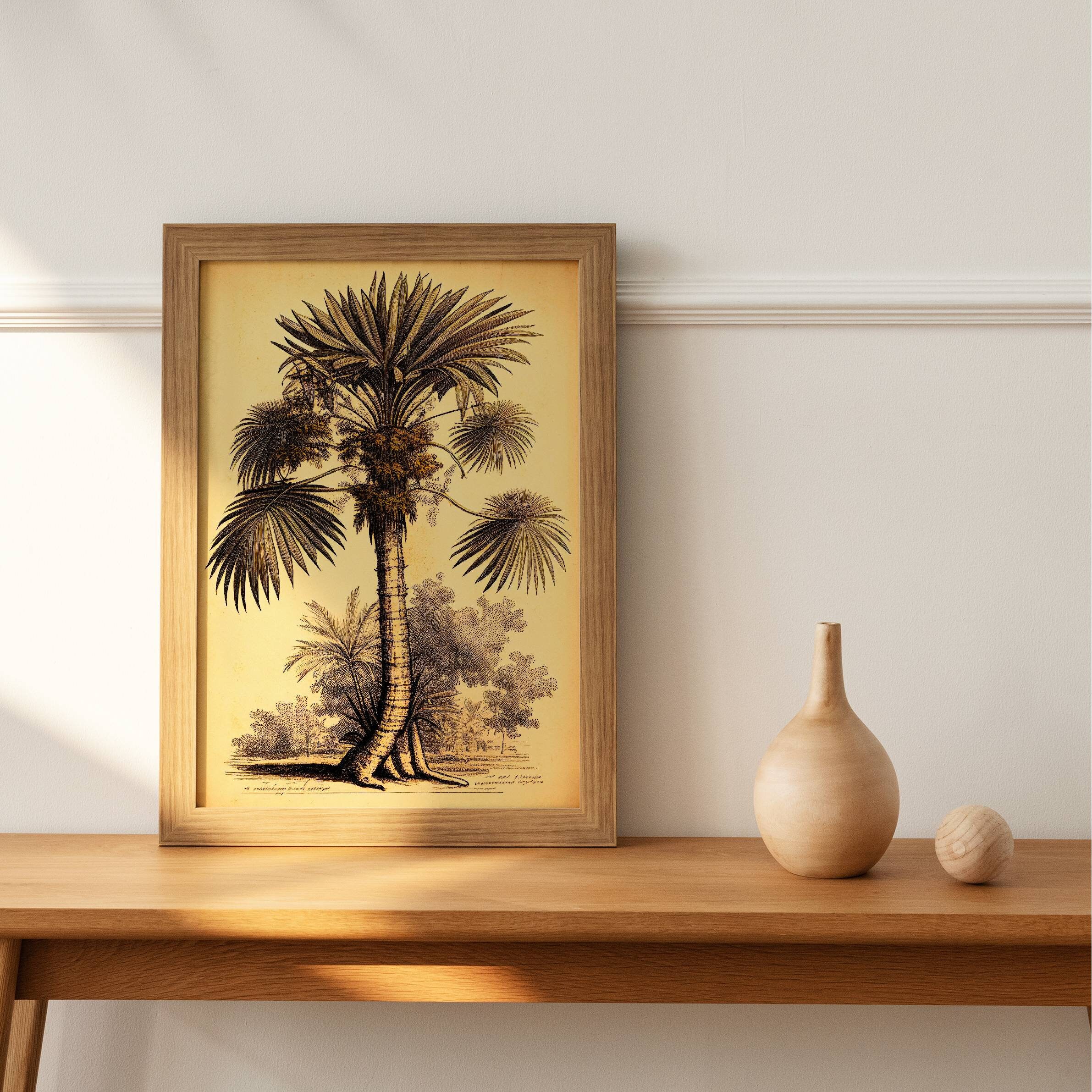 Palm Tree Botanical Sketch Printable - Detailed Illustration of Palm ...