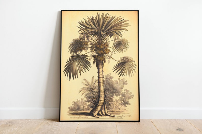 Palm Tree Botanical Sketch Printable - Detailed Illustration of Palm ...