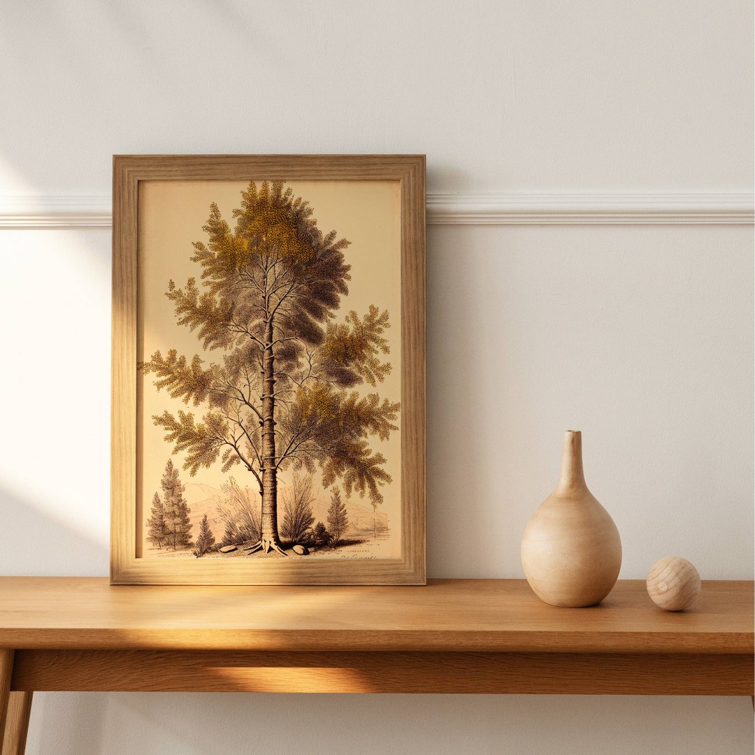 Botanical Sketch Printable - Detailed Illustration of Aspen, Perfect ...