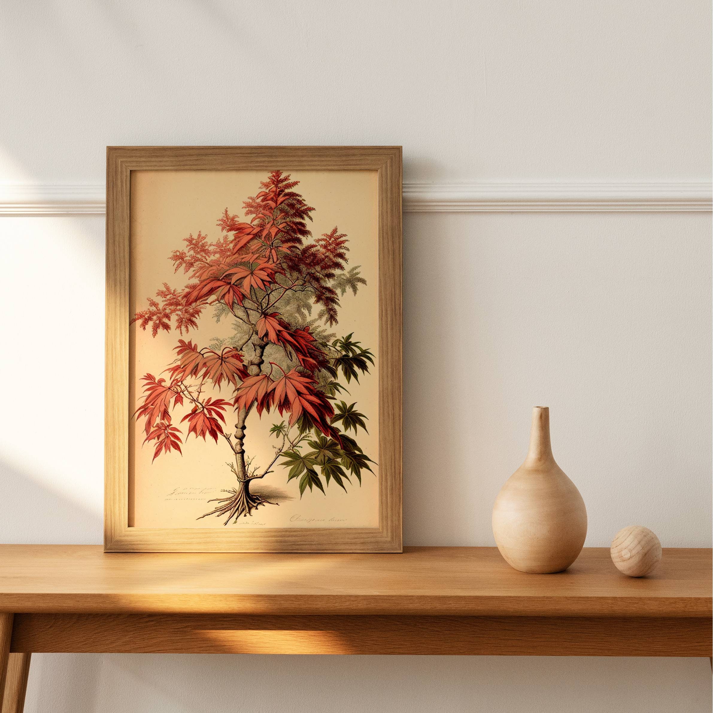 Japanese Maple Botanical Sketch Printable - Detailed Illustration of ...