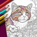 Digital Coloring Book -- Cat Themed Coloring -- 15 Total Pictures - Etsy