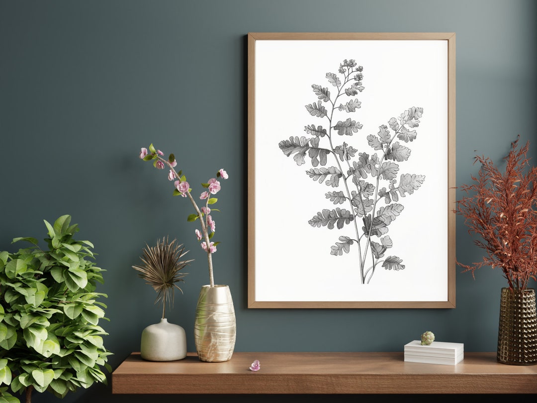 Minimalist Art | Nature Sketch | Botanical Sketch | Nature Art | Black ...
