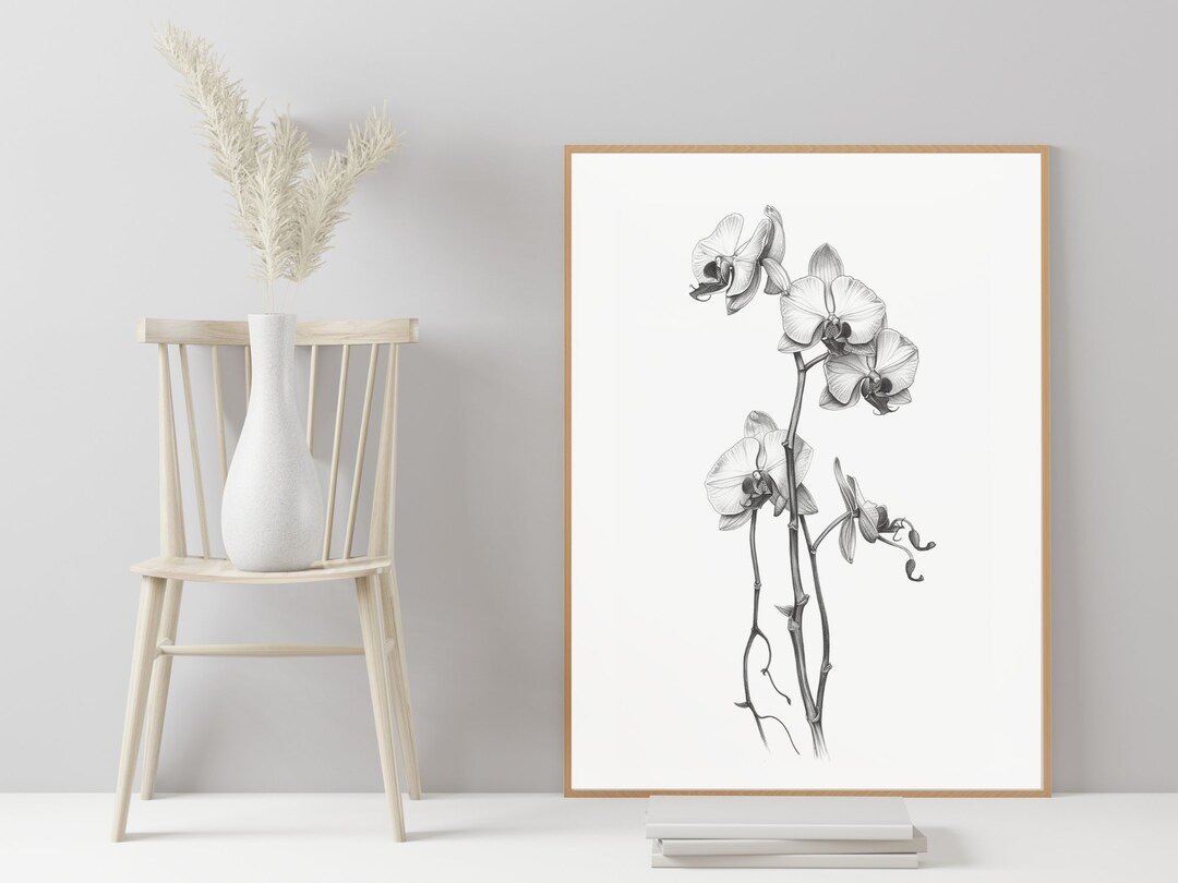 Minimalist Art | Nature Sketch | Botanical Sketch | Nature Art | Black ...