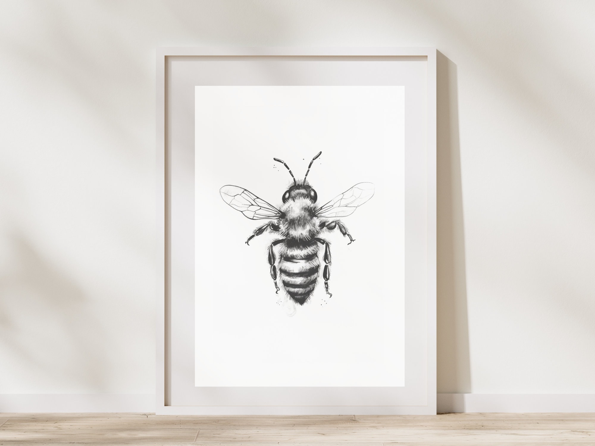 Honey Bee Scientific Drawing