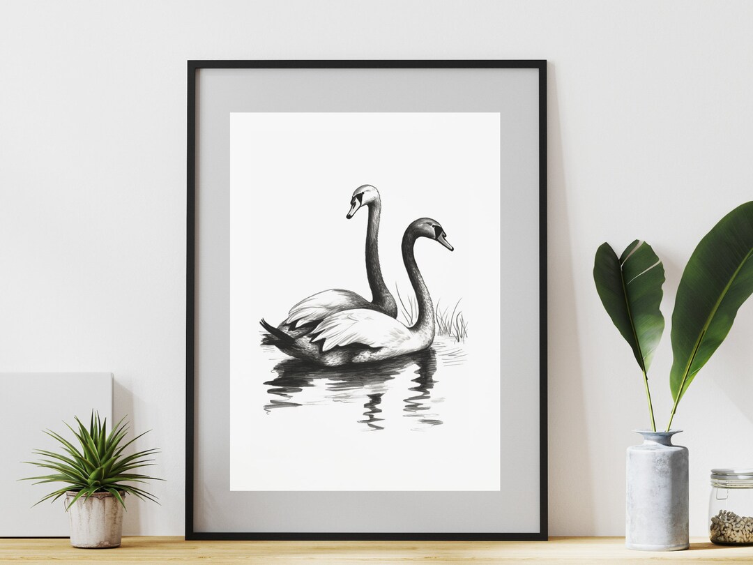 Minimalist Art | Nature Sketch | Swans Sketch | Nature Art | Black and ...
