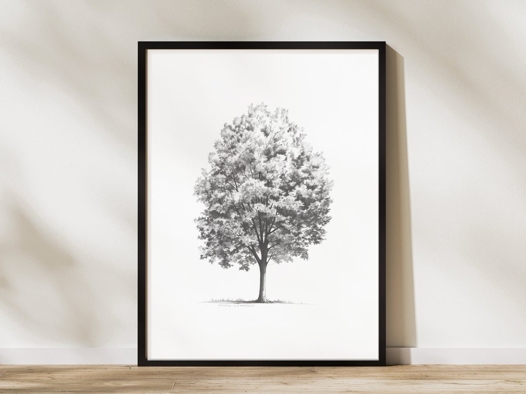 Minimalist Art | Nature Sketch | Botanical Sketch | Nature Art | Maple ...