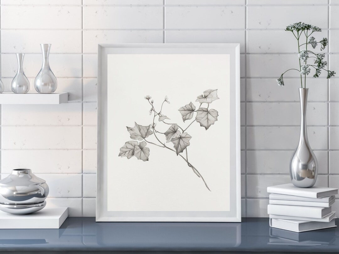 Minimalist Art | Nature Sketch | Botanical Sketch | Nature Art | Black ...
