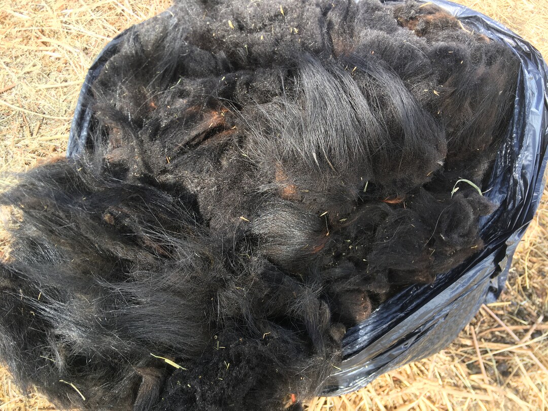 Complete Ewe's Wool Pelt (mostly) Black (some) Brown Thick Thel - Etsy
